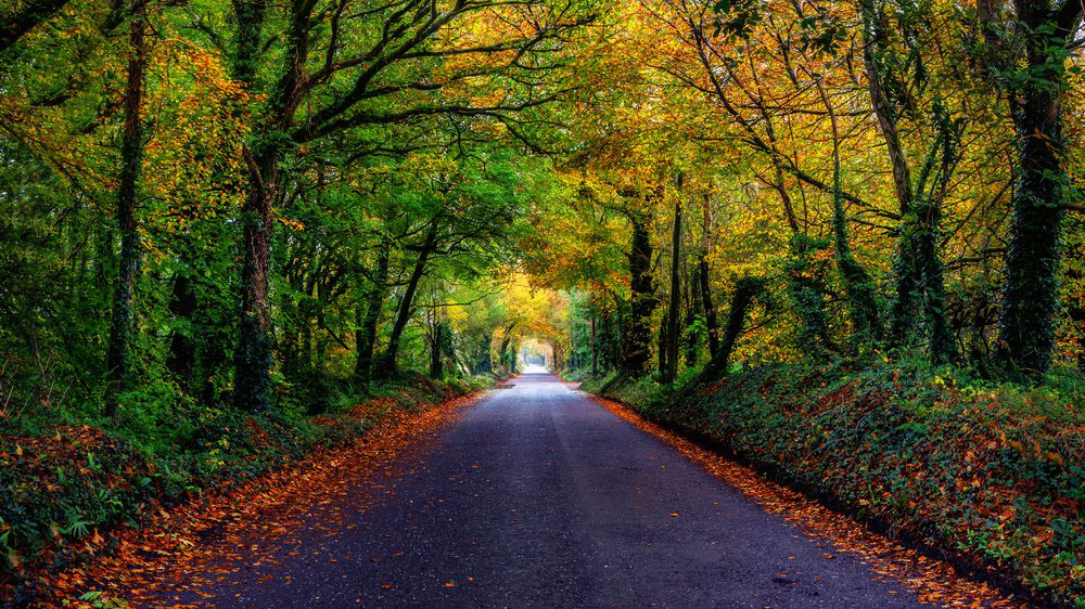 Ireland Family & Elopement Photographer | Romantic Photos in Ireland ...